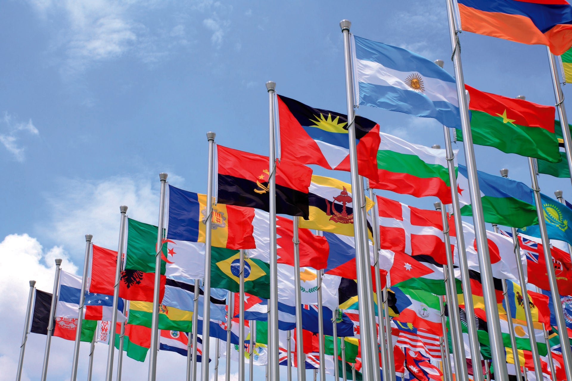 Pole Flags